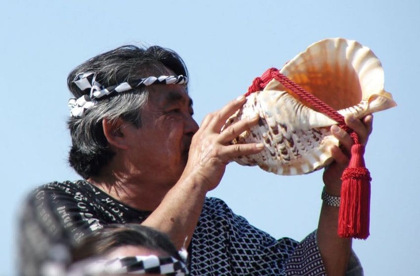 Conch Shell: A Pearl In The Ocean - Seafood Peddler