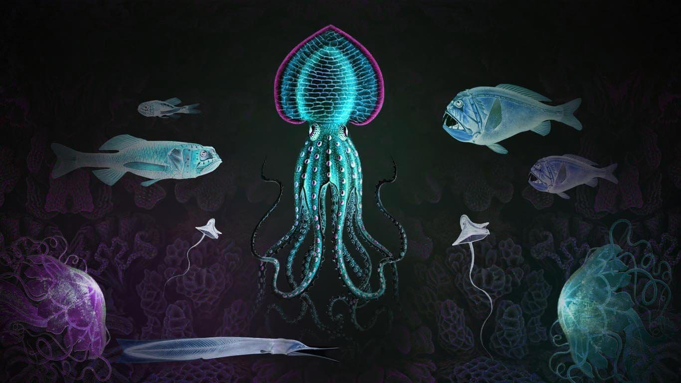 The Mystery of Marine Bioluminescence - Seafood Peddler