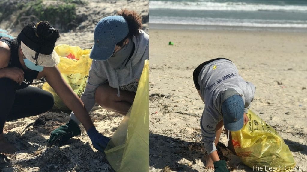 Preserve Marine Ecosystem Integrity: A Call to Action. - Seafood Peddler